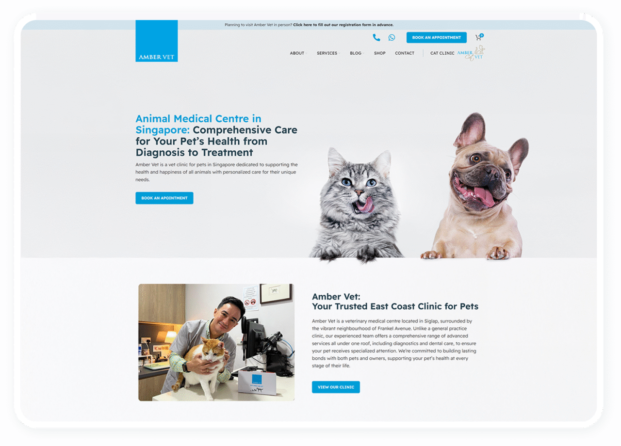 Amber Vet | Web Design Singapore | Digital Marketing Services